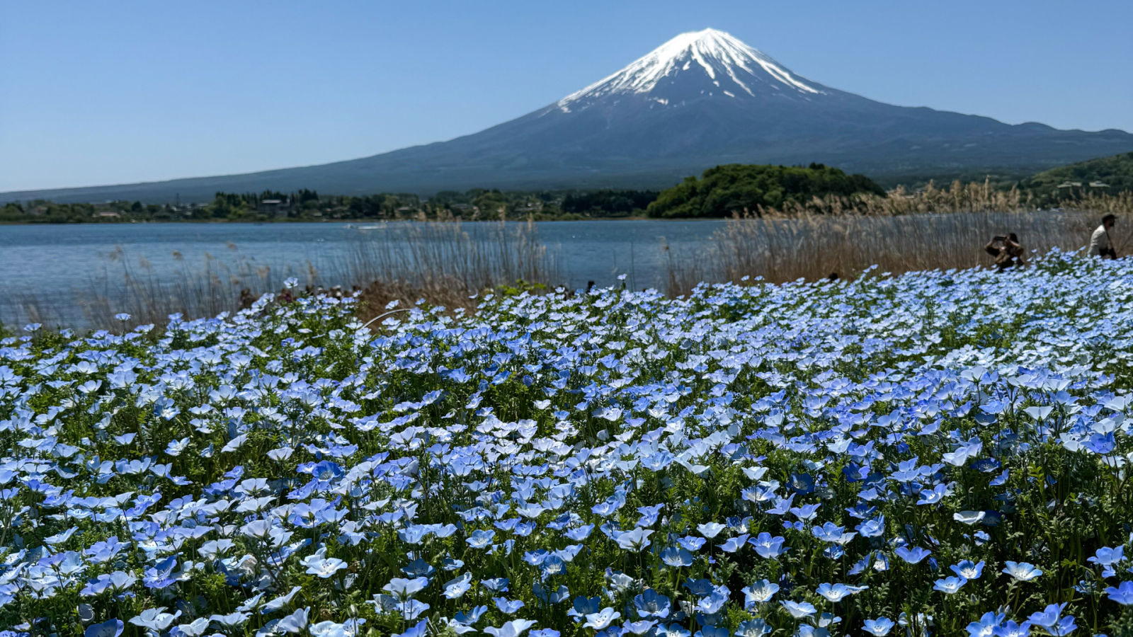 Jinali Sutariya recommends must-try viral activities in Japan