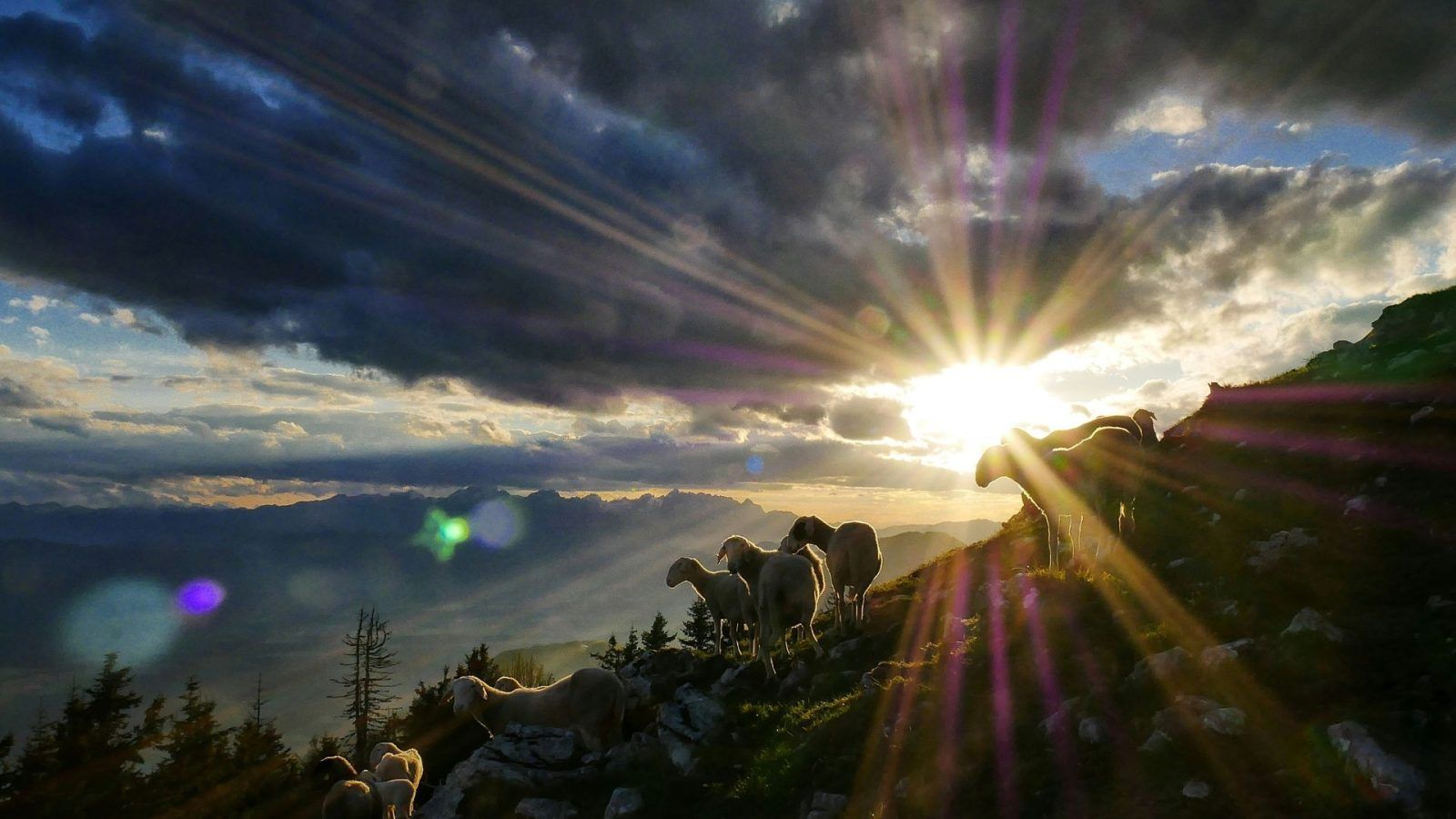 A guide to understanding aphelion and perihelion | Lifestyle Asia India