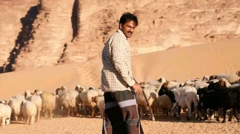'The Goat Life' OTT release date: When & where to stream Aadujeevitham
