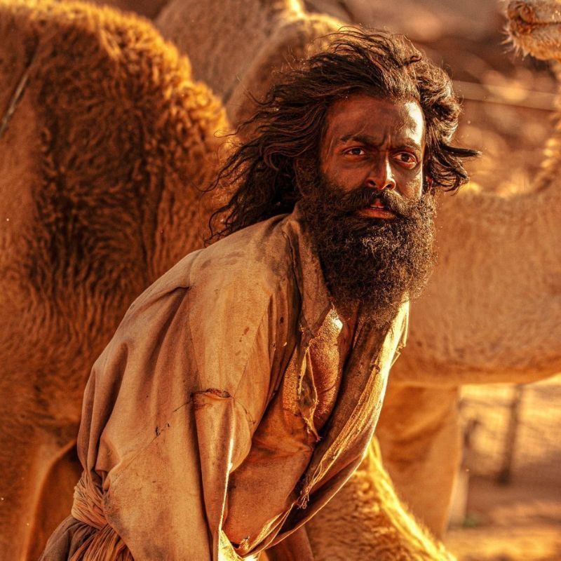 True story of Najeeb, the protaginist of 'Aadujeevitham' or 'The Goat Life'