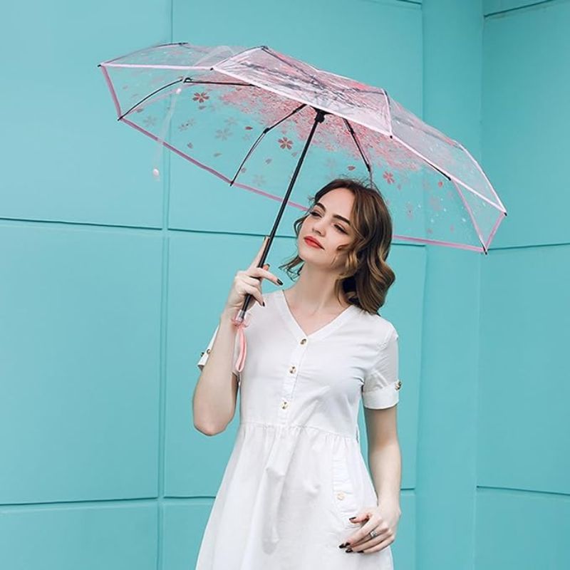 Transparent umbrellas: Shop the best umbrellas for monsoon season