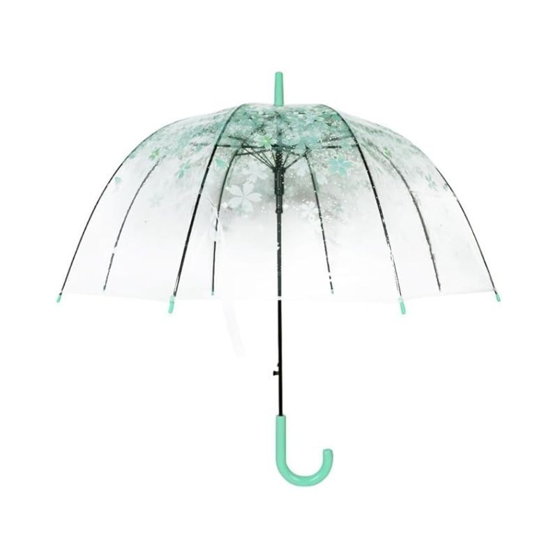 Transparent umbrellas: Shop the best umbrellas for monsoon season