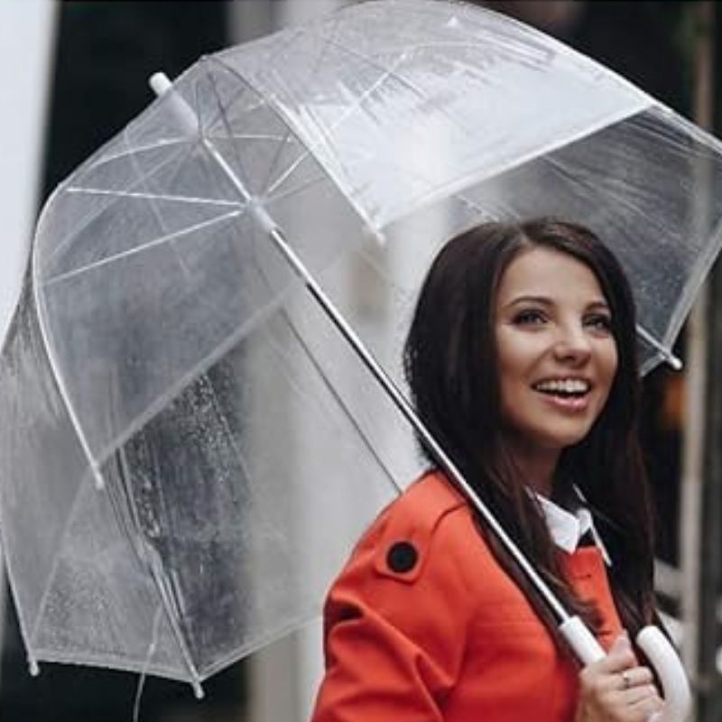 Transparent umbrellas: Shop the best umbrellas for monsoon season
