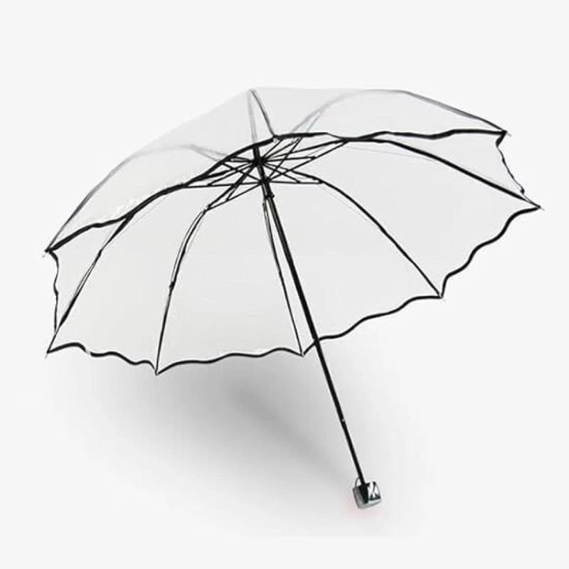 Transparent umbrellas: Shop the best umbrellas for monsoon season