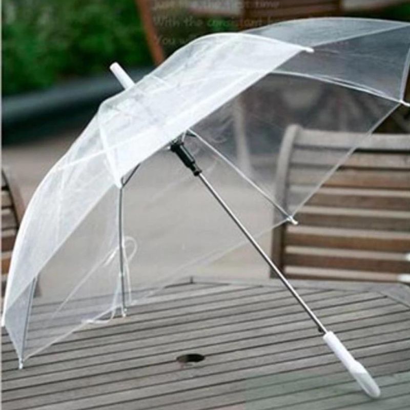 Transparent umbrellas: Shop the best umbrellas for monsoon season