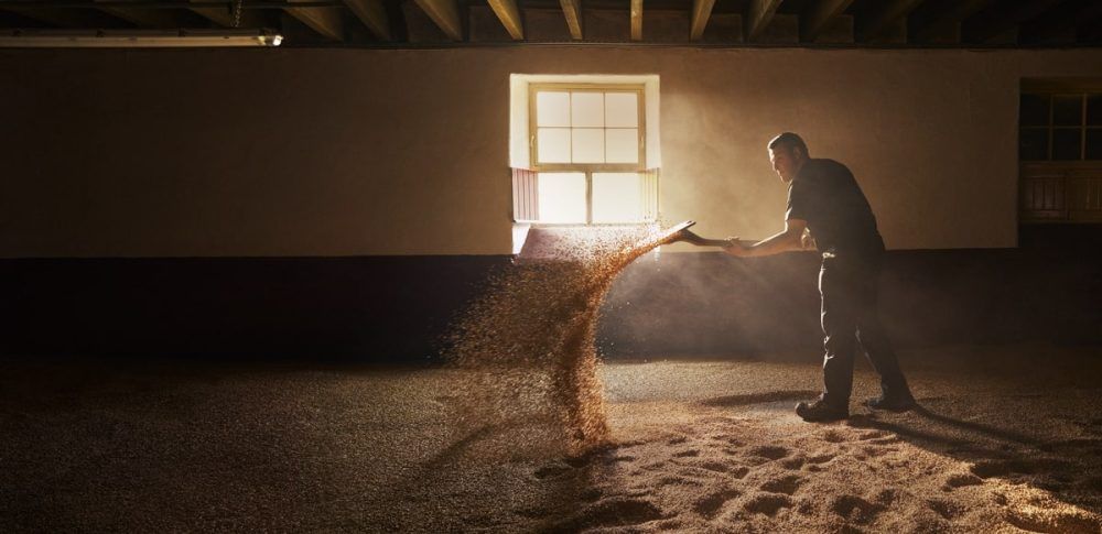 From Grain to Glass: Journey of The Balvenie Single Malt Scotch Whisky