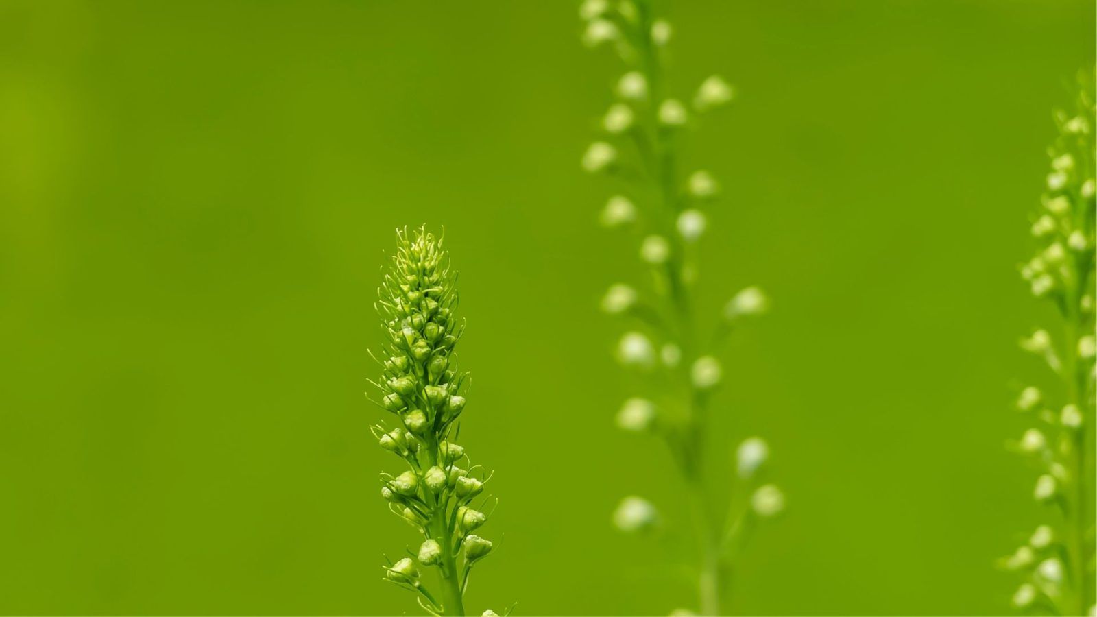 Find out the lucky colour for Tuesday according to your zodiac sign