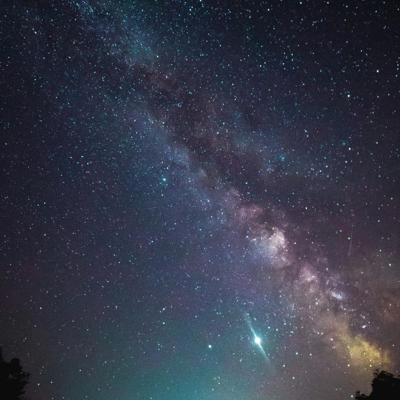 People born in the Year of The Rabbit: Personality traits, love life ...