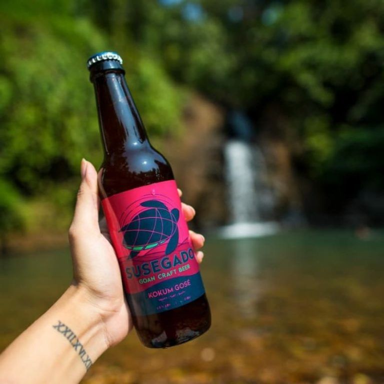 Bottles of fruity beer under INR 250 for the most refreshing six-pack stash