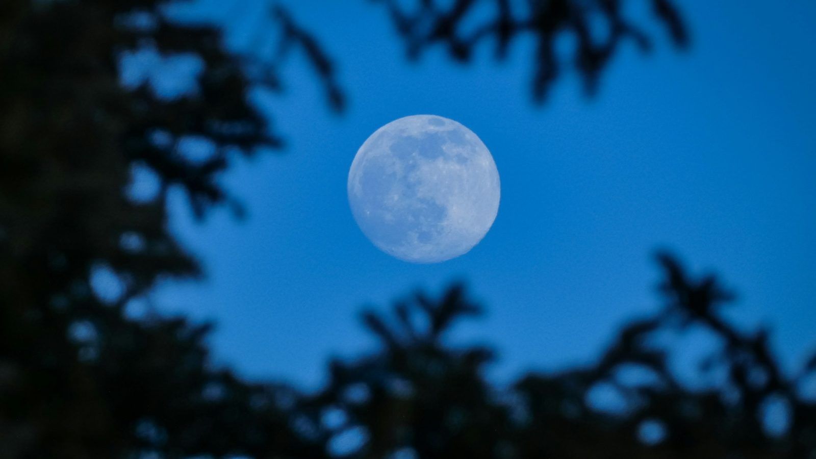 How to see August supermoon 2024 in India | Lifestyle Asia India