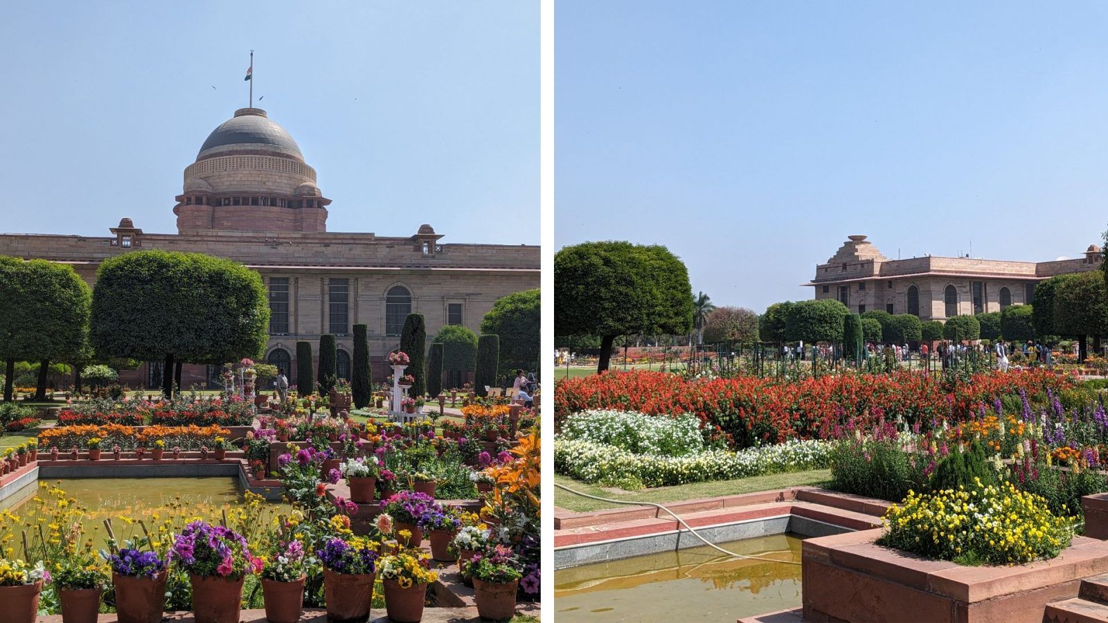 Flower exhibition at Amrit Udyan of Rashtrapati Bhavan : Dates and timings