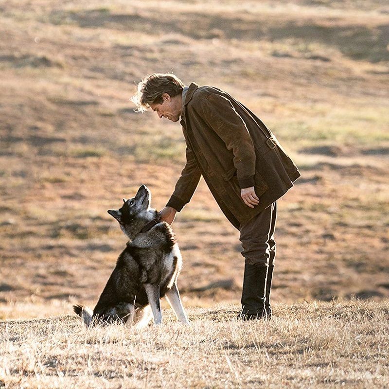 Best dog movies to watch according to IMDb ratings | Lifestyle Asia India