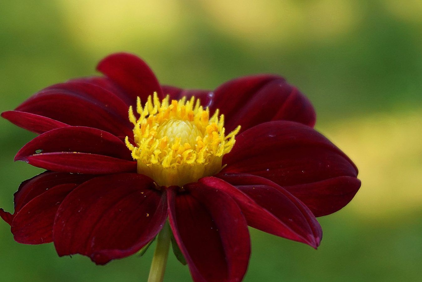 Lucky colour for Saturday, according to your zodiac | Lifestyle Asia India