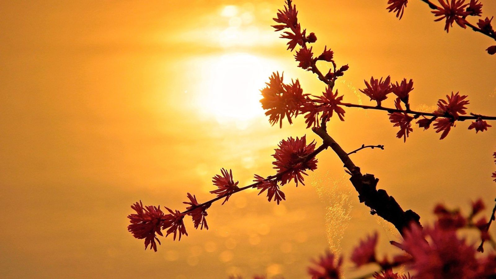Lucky colour for Sunday for your zodiac sign | Lifestyle Asia India