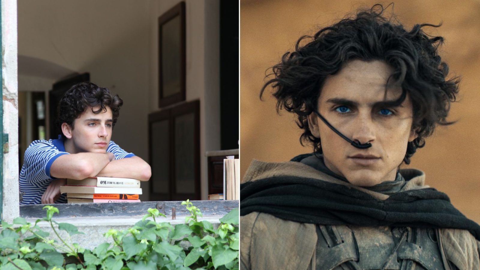 Best Timothée Chalamet movies according to IMDb | Lifestyle Asia India