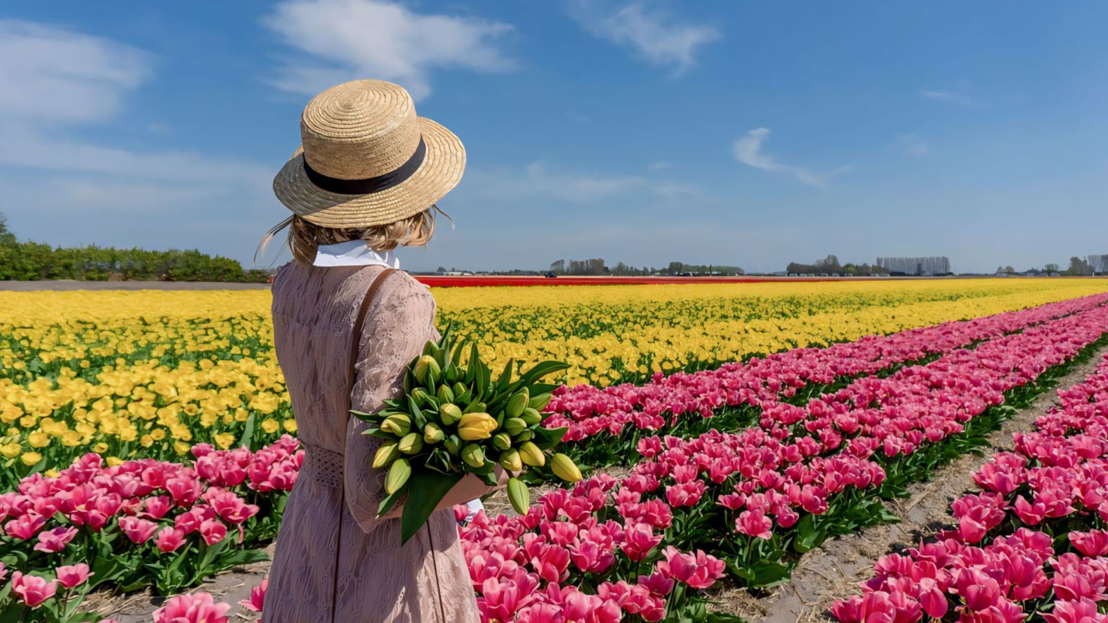 Enter the world of concierge services with Indulge Global