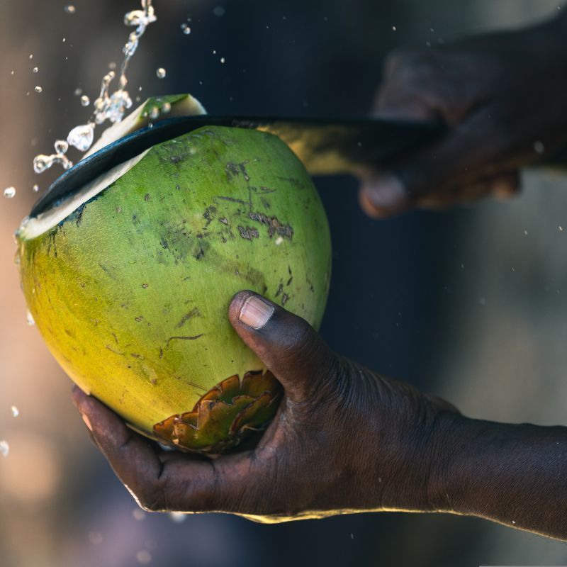 Kerala farmer set to give India a taste of its first tender coconut wine