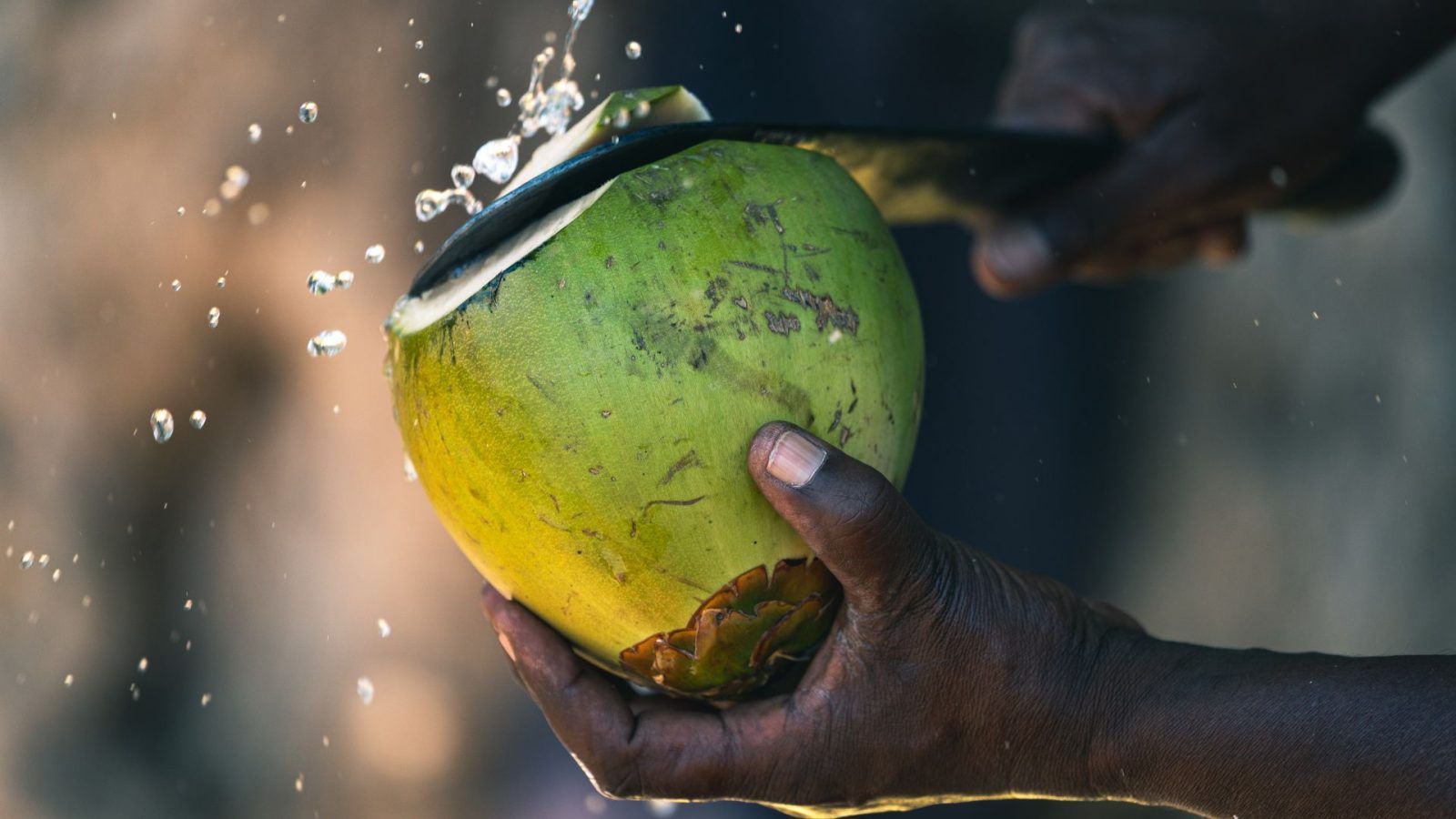 Kerala farmer set to give India a taste of its first tender coconut wine