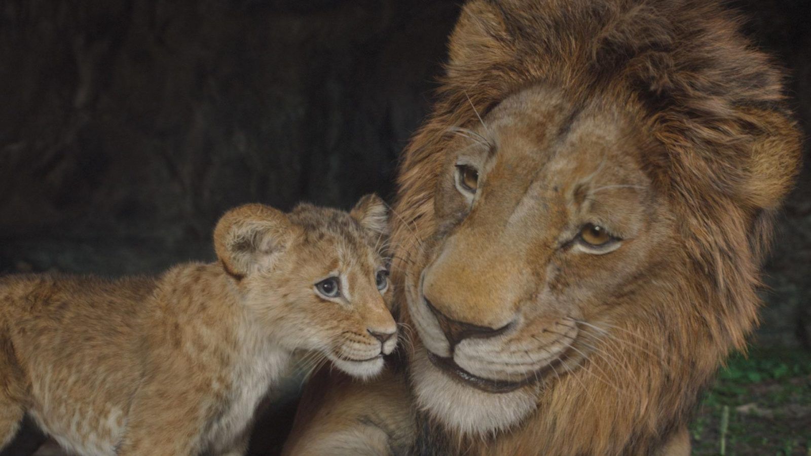 Is 'Mufasa: The Lion King' set to release on OTT soon?