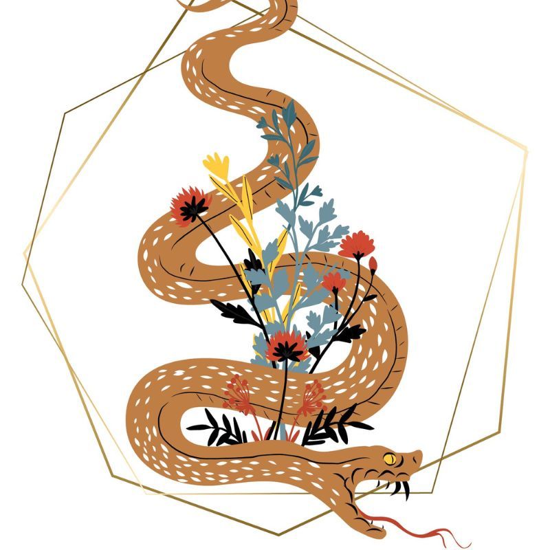 Year of the Wood Snake: Key traits, love life, and more | Lifestyle ...