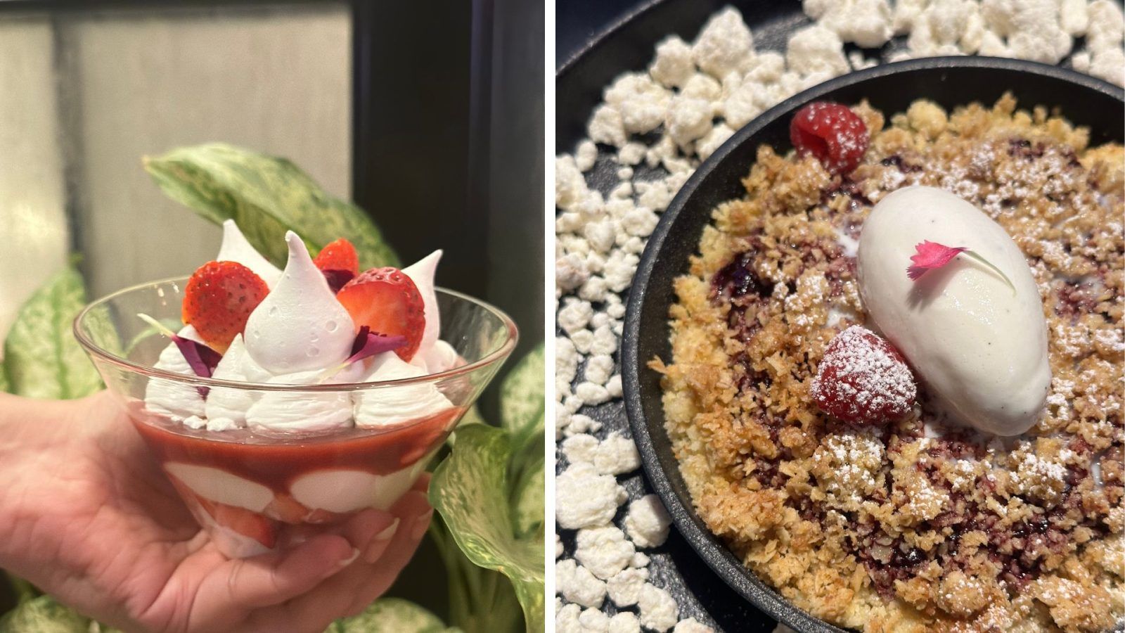 New menus in January 2025: Festive meals to try at Delhi-NCR restaurants