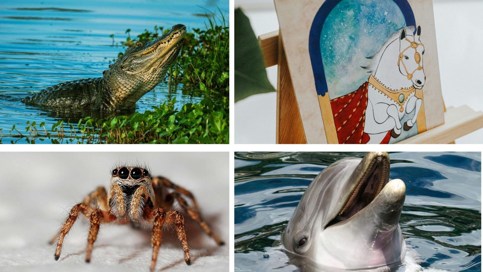 Primal astrology: Find out your primal spirit animal | Lifestyle Asia India