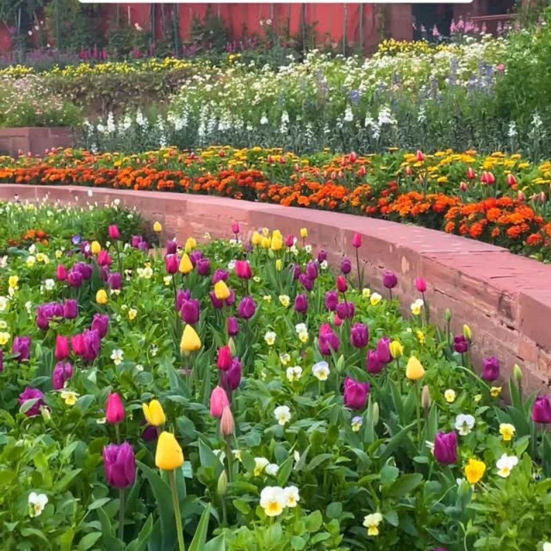 Amrit Udyan opening for 2025: Dates, timings, & more | Lifestyle Asia India