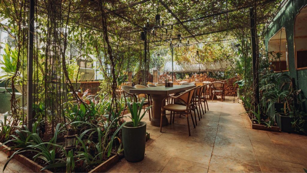 New restaurants and cafes in Goa: Spots you must visit in November 2025
