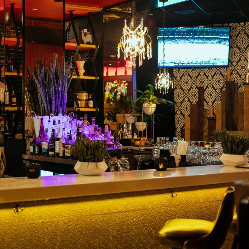 Best Restaurants and Bars to Watch IPL Matches 2025 Live in Delhi-NCR