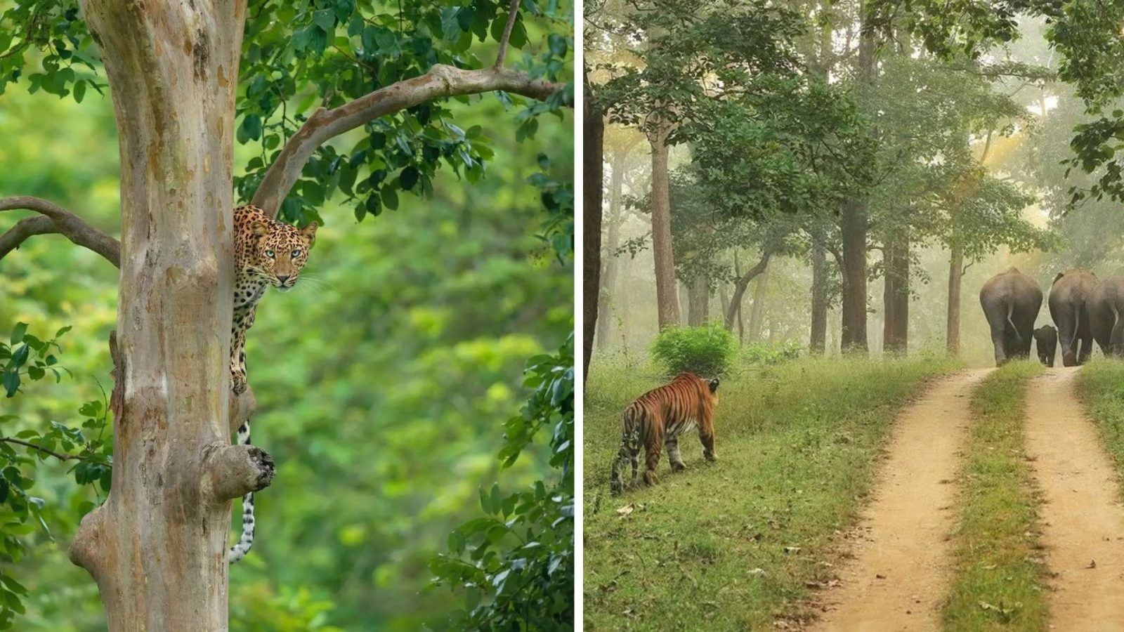 Places to visit in India in April: Check out top getaways | Lifestyle ...
