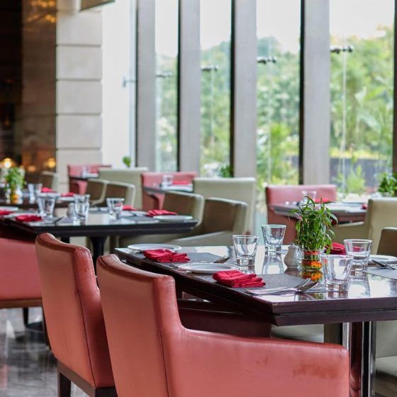 Navratri 2025: Top Delhi-NCR restaurants to visit for special thali and ...