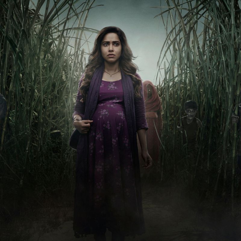 'Chhorii' movie: A recap of the original film to prepare you for the sequel