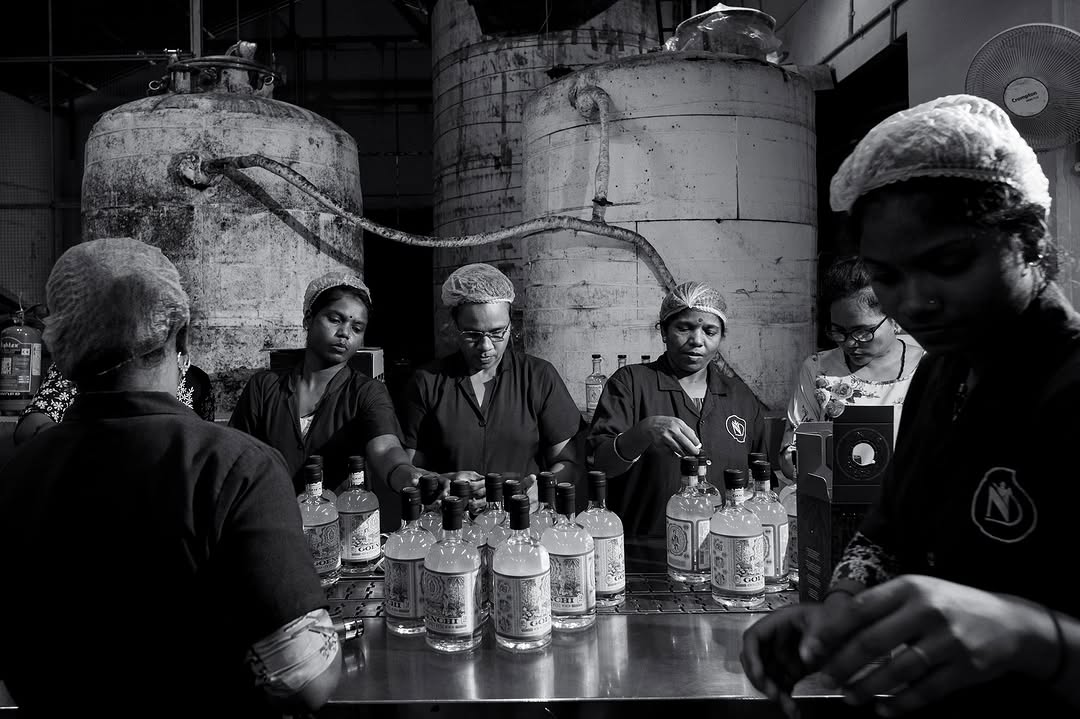 Traditional Indian alcohols like feni are reclaiming their place