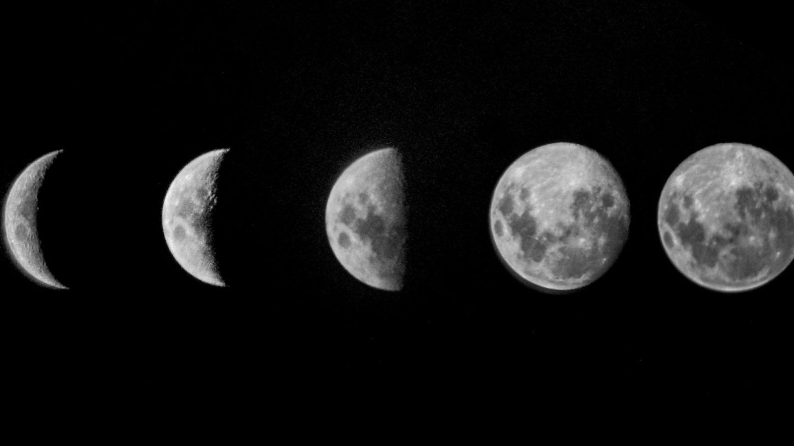 Your guide to moon phases and their effects on zodiac signs | LSA India