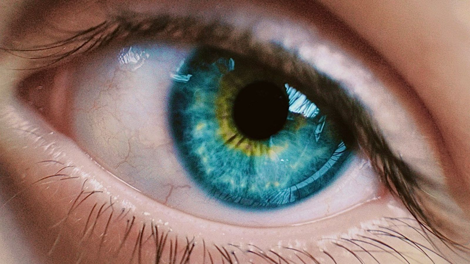 Scientists discover brand new colour 'Olo' | Lifestyle Asia India