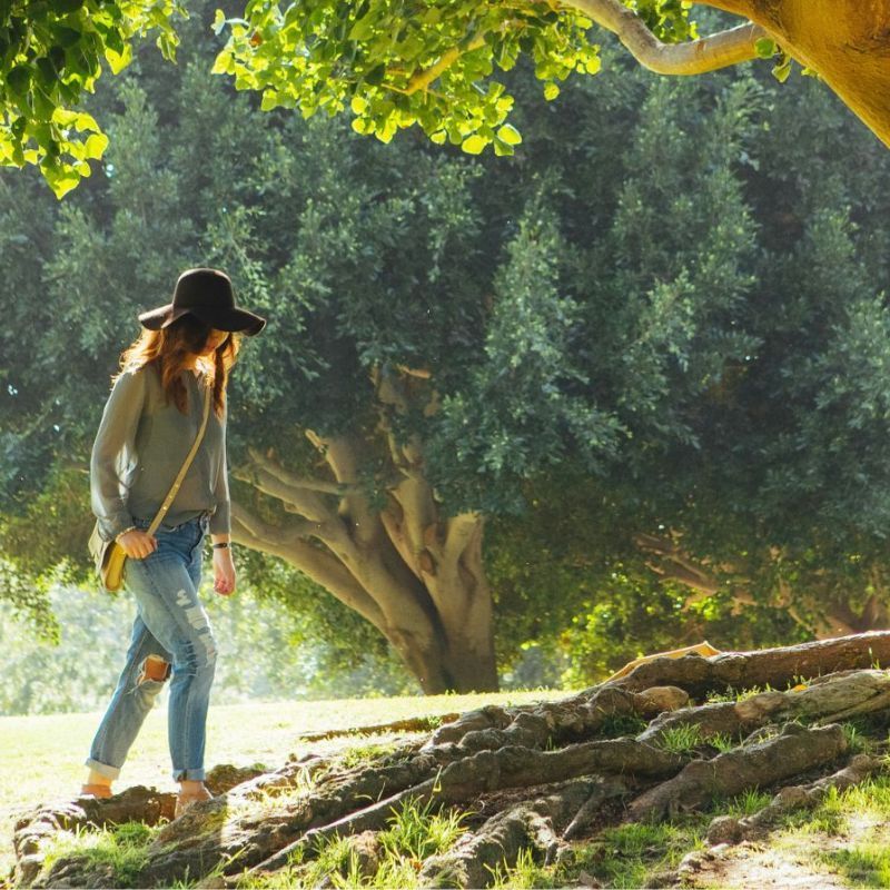 Benefits of plant communication therapy | Lifestyle Asia India