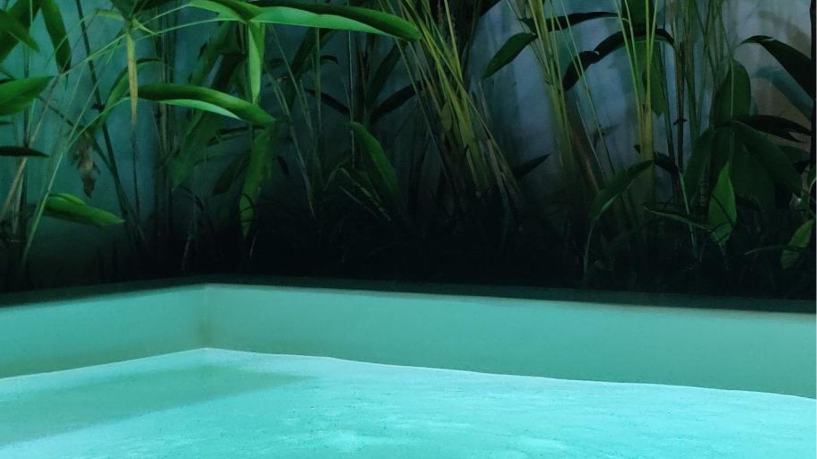 Azora by Ayatana property review: Your private paradise in Morjim, Goa