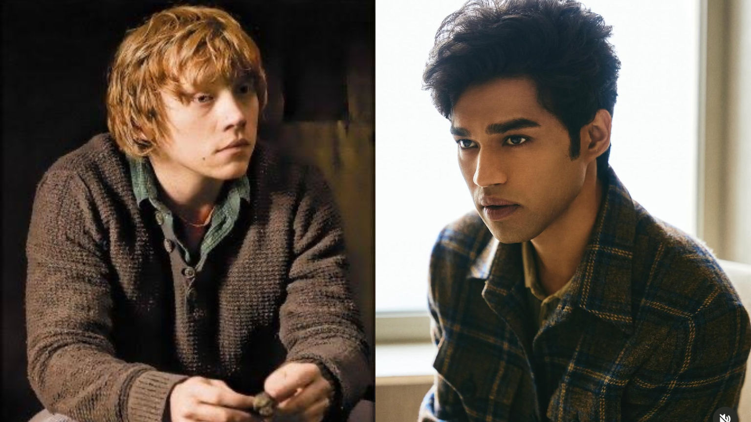 Who would play who in a desi Harry Potter series?