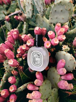 Face bloating remedies: How to get rid of puffy face and bloating