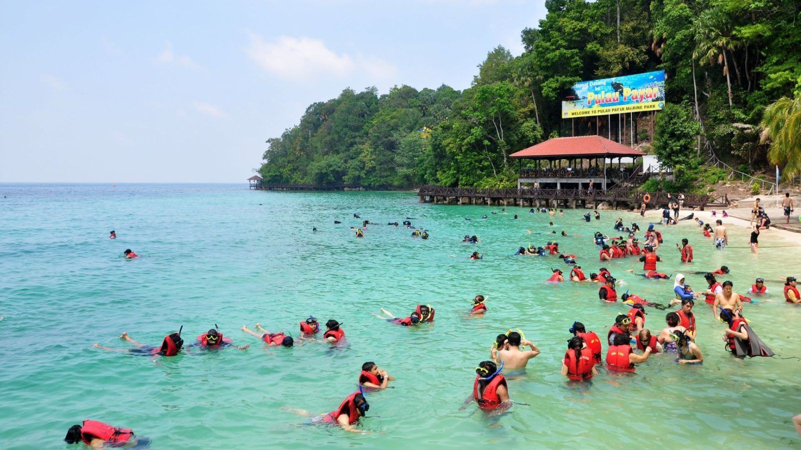 Top spots for scuba diving in Malaysia: Reefs, wrecks & more | LSA IND