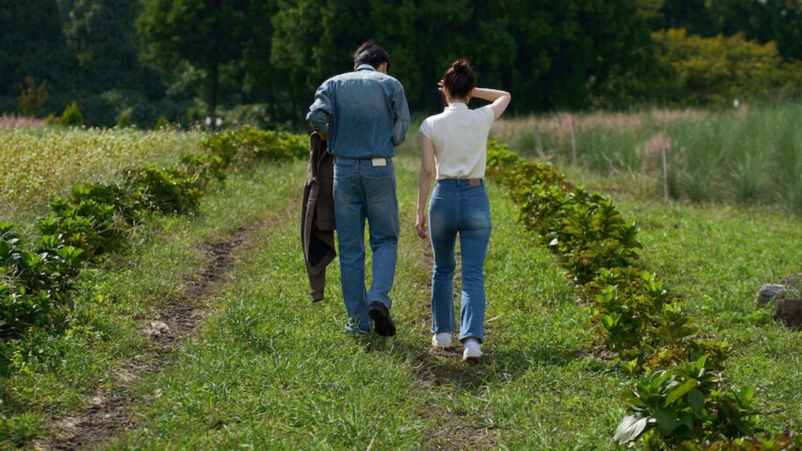 Complete release schedule of Netflix's Better Late Than Single | LSA India