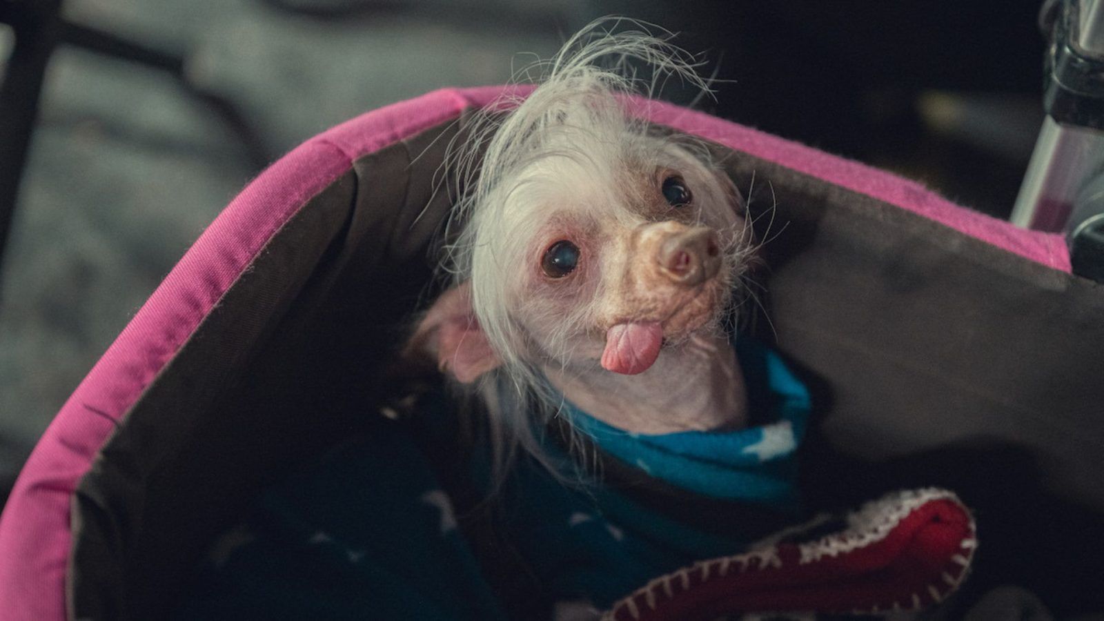 'Too Much' Netflix series ending explained: Did Jess and Felix really ...