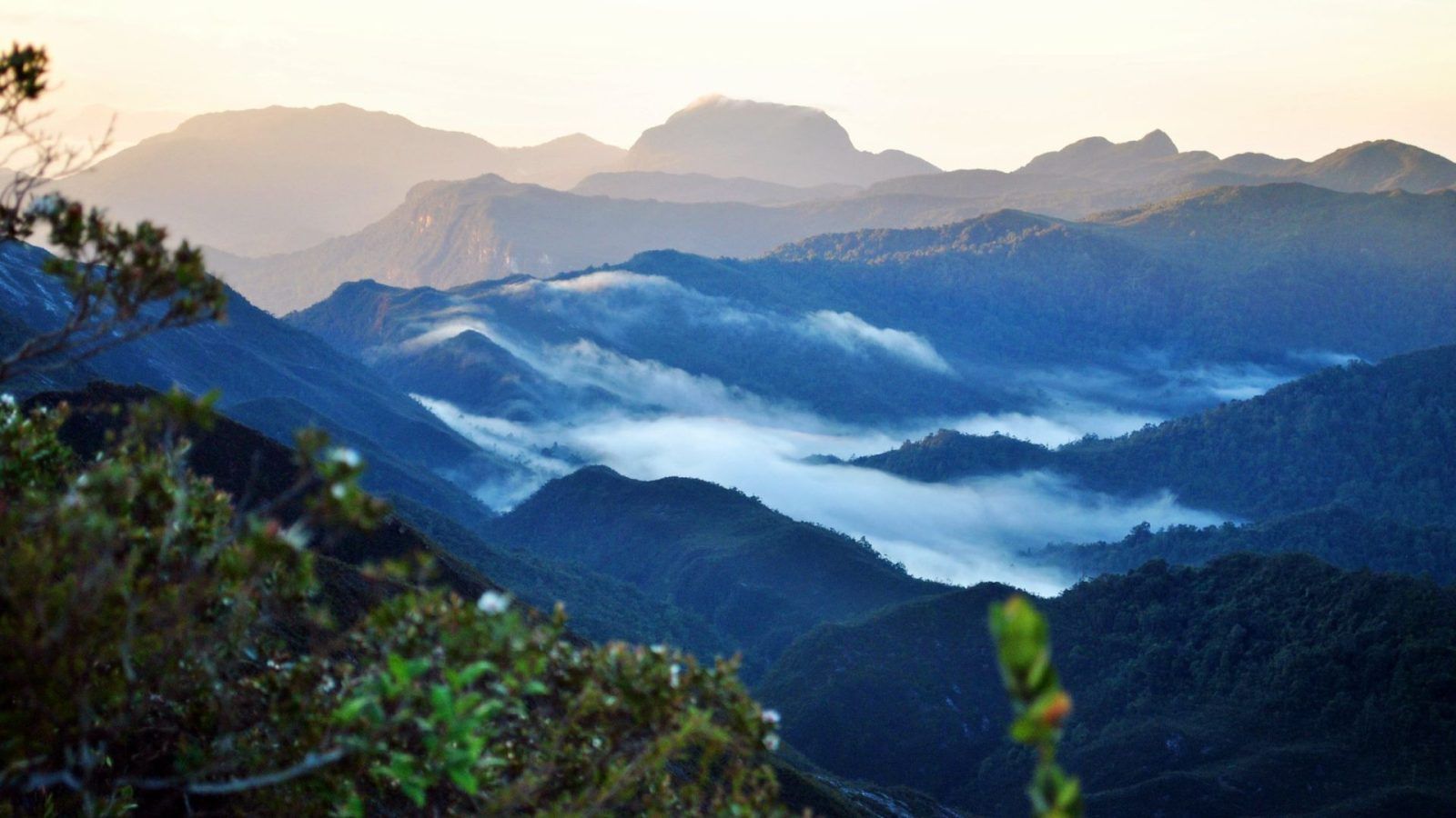 Taman Negara: Journey through Malaysia's ancient rainforest | LSA IND