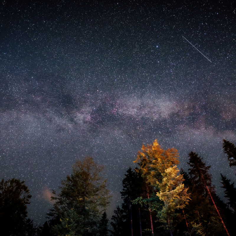 Perseids Meteor Shower 2025: Best dates for viewing it in India | LSA IND