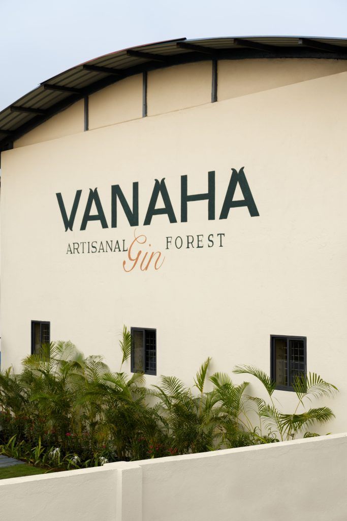 Jin Jiji: All about the INR 2000 Indian gin that's awarded 'the world’s ...