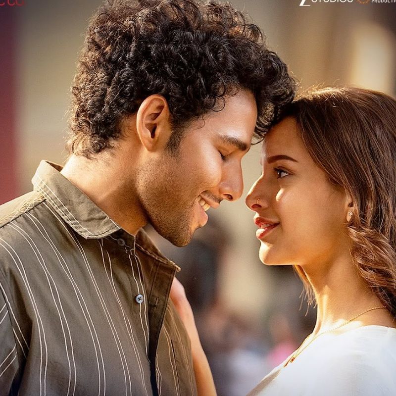 Dhadak 2 ending explained: Will Neelesh fight for his love and rights?