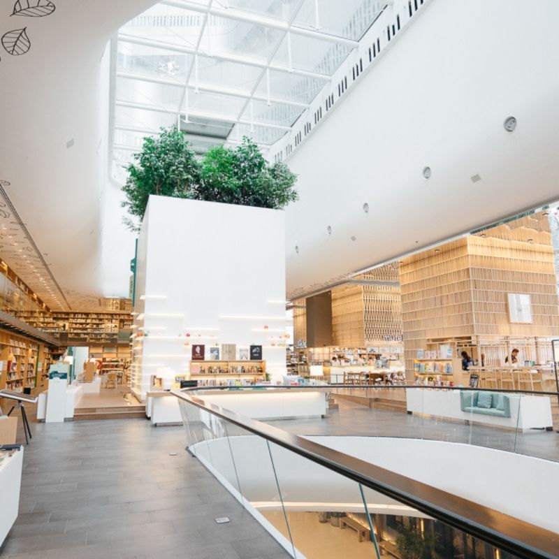 Best Bangkok libraries to read, roam, and remote work in | LSA India