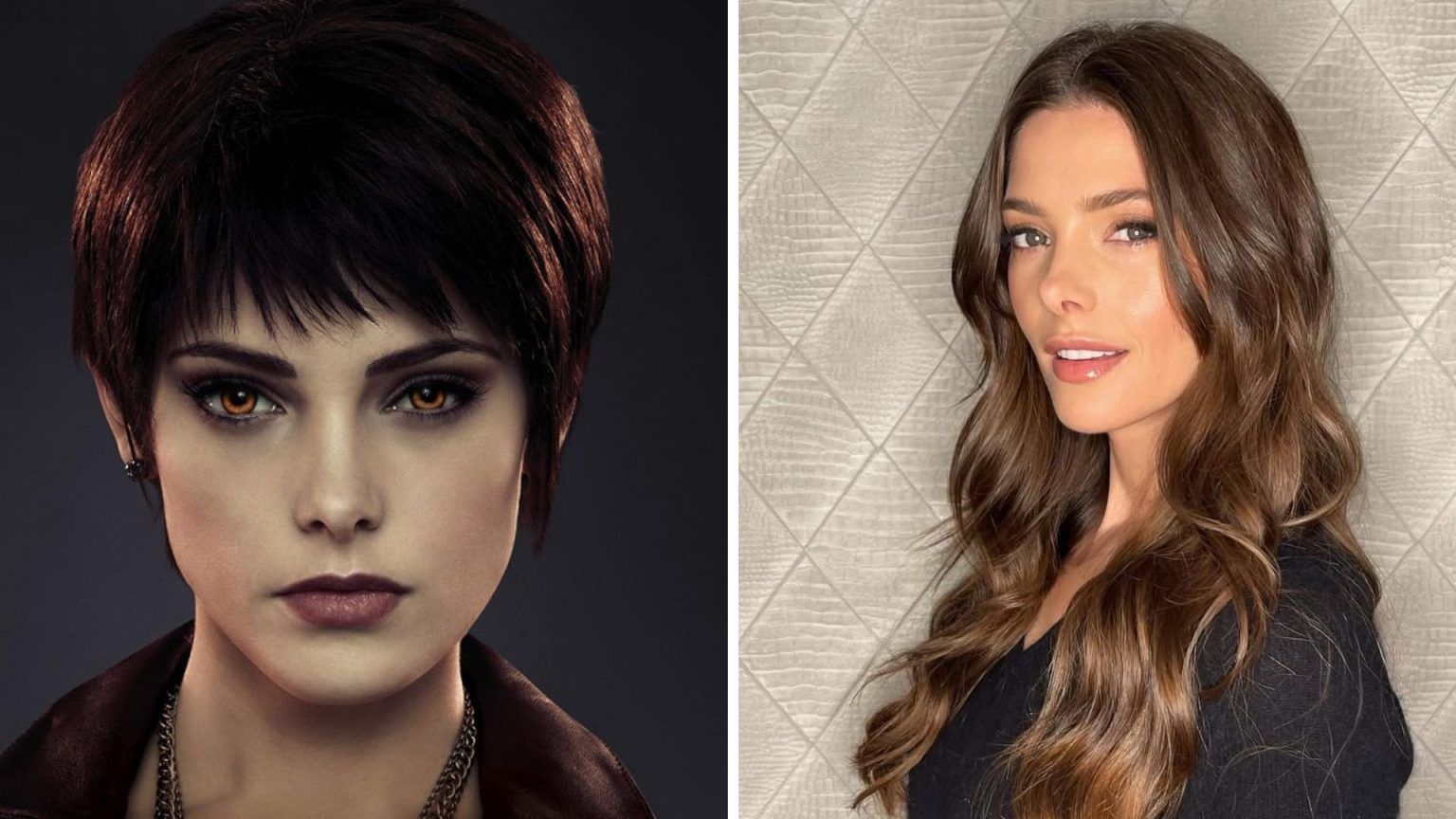 Where are The Twilight Saga cast members now? | Lifestyle Asia India