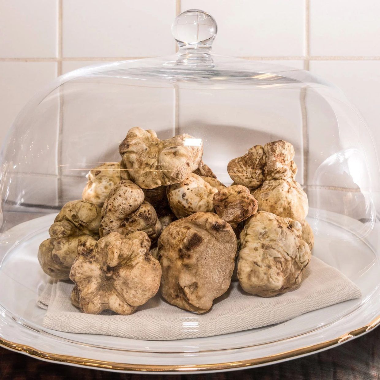 The most expensive mushrooms in the world | LSA IND