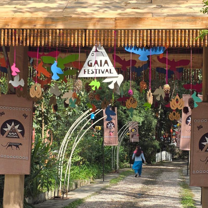 GAIA Festival 2025 review: A blend of music, wellness and art | LSA IND